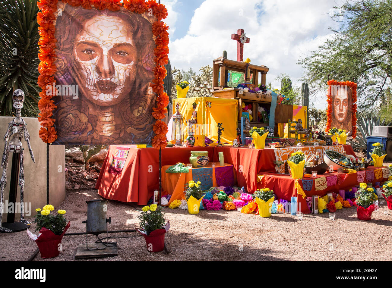 USA, Arizona, Phoenix, Desert Botanical Garden. Paintings and displays ...