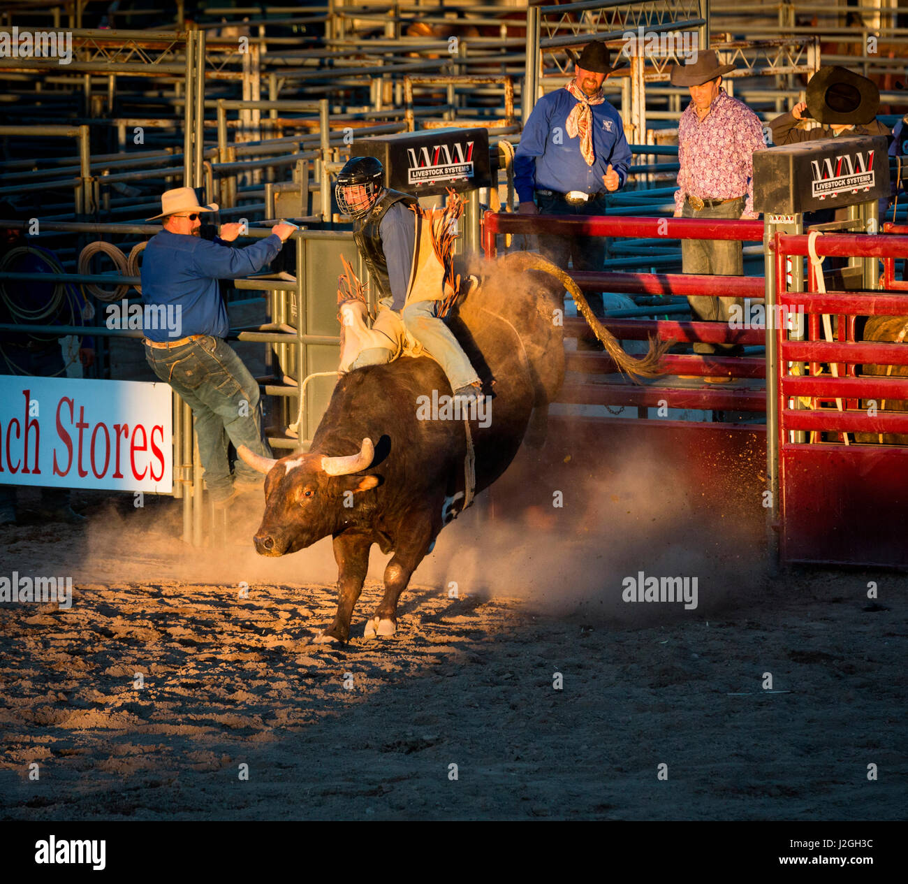 Hellzapoppin arena cowboy hi-res stock photography and images - Alamy
