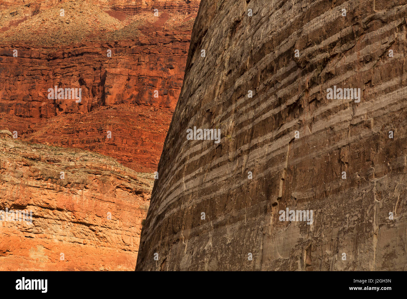 USA, Arizona, Grand Canyon National Park. Striated sandstone wall in ...