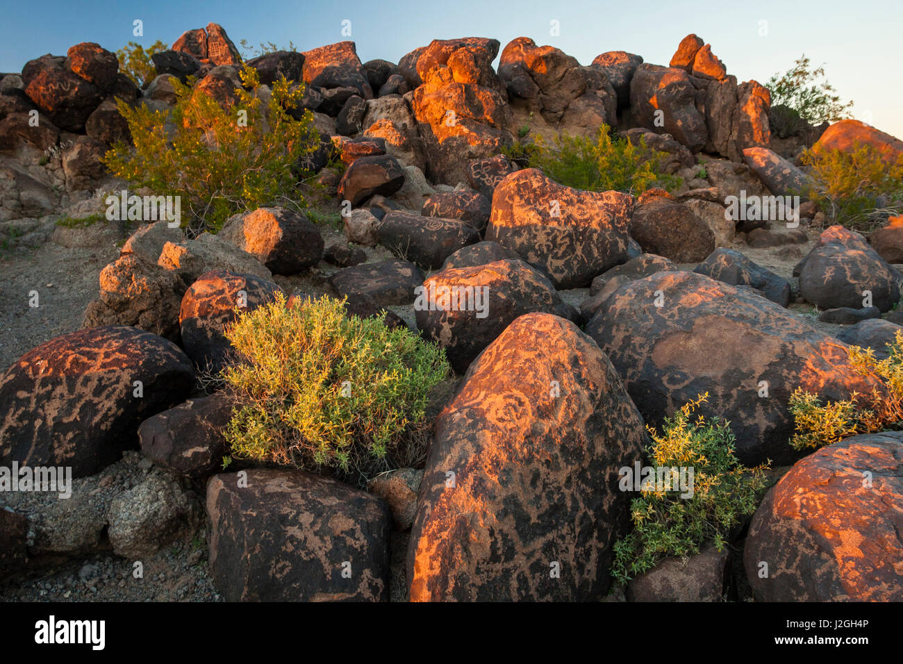 USA, Arizona, Painted Rock Petroglyph Site. Rocks covered with ...