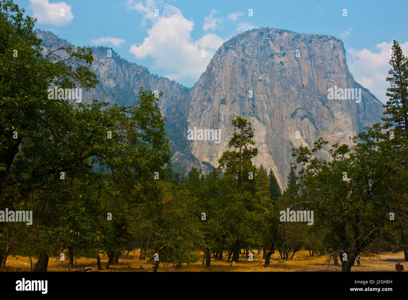 USA, California, Yosemite National Park, El Capitan (Large format sizes ...