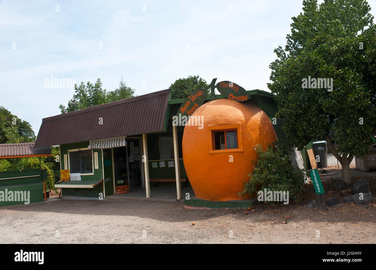 USA, California, Lemon Cove, Large replica of orange, Roadside ...