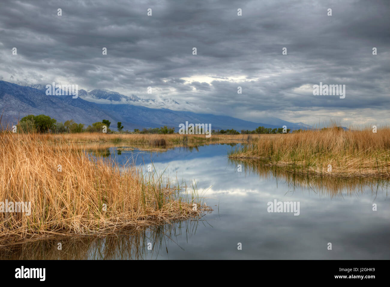 USA, California, Sierra Nevada Mountains. Stormy spring day at Billy ...