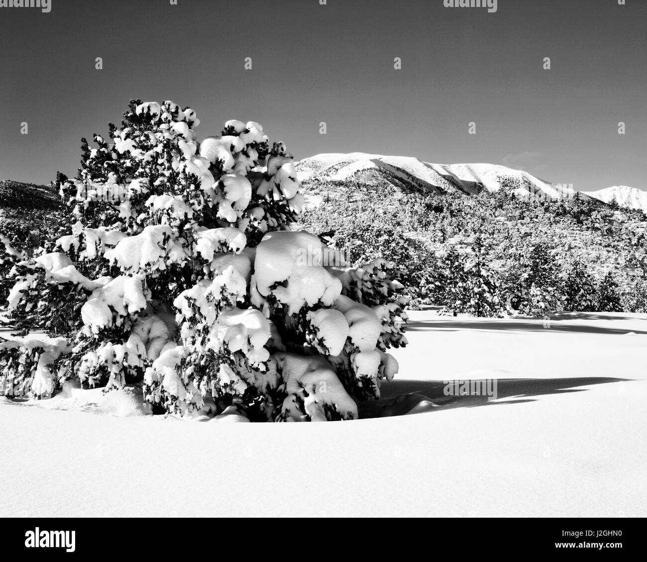 Nevada winter white Black and White Stock Photos & Images - Alamy