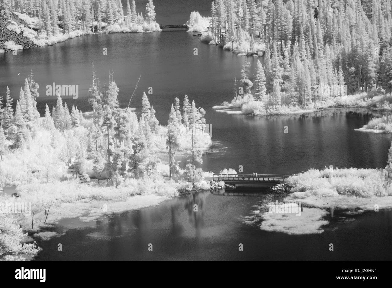 USA, California, Mammoth Lakes Basin. Infrared aerial image of Twin ...
