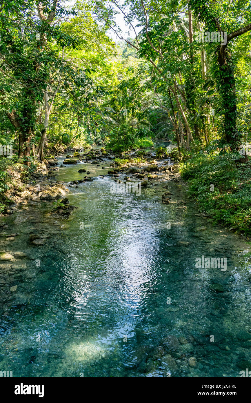 Majestic turquoise stream Stock Photo - Alamy