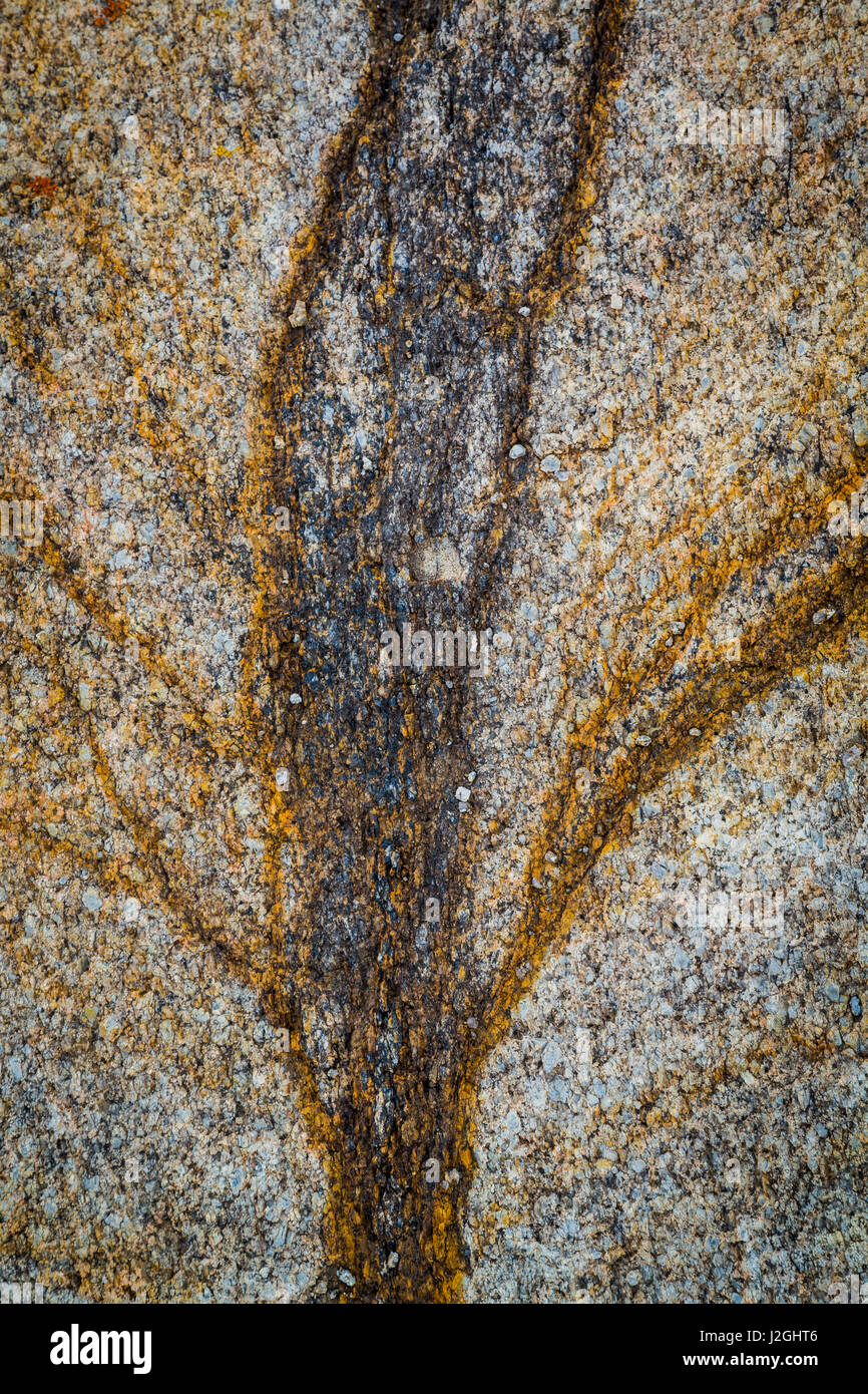 USA, California, Alabama Hills. Close-up of rock stain. Credit as: Don ...