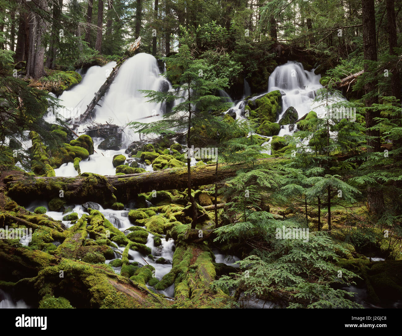USA, waterfall in pacific northwest. (Large format sizes available ...