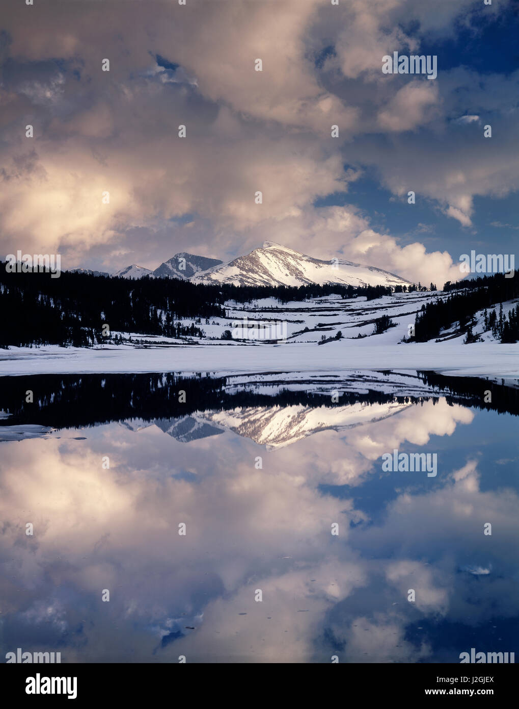 USA, California, Sierra Nevada Mountains, Mammoth Peak reflecting in a ...
