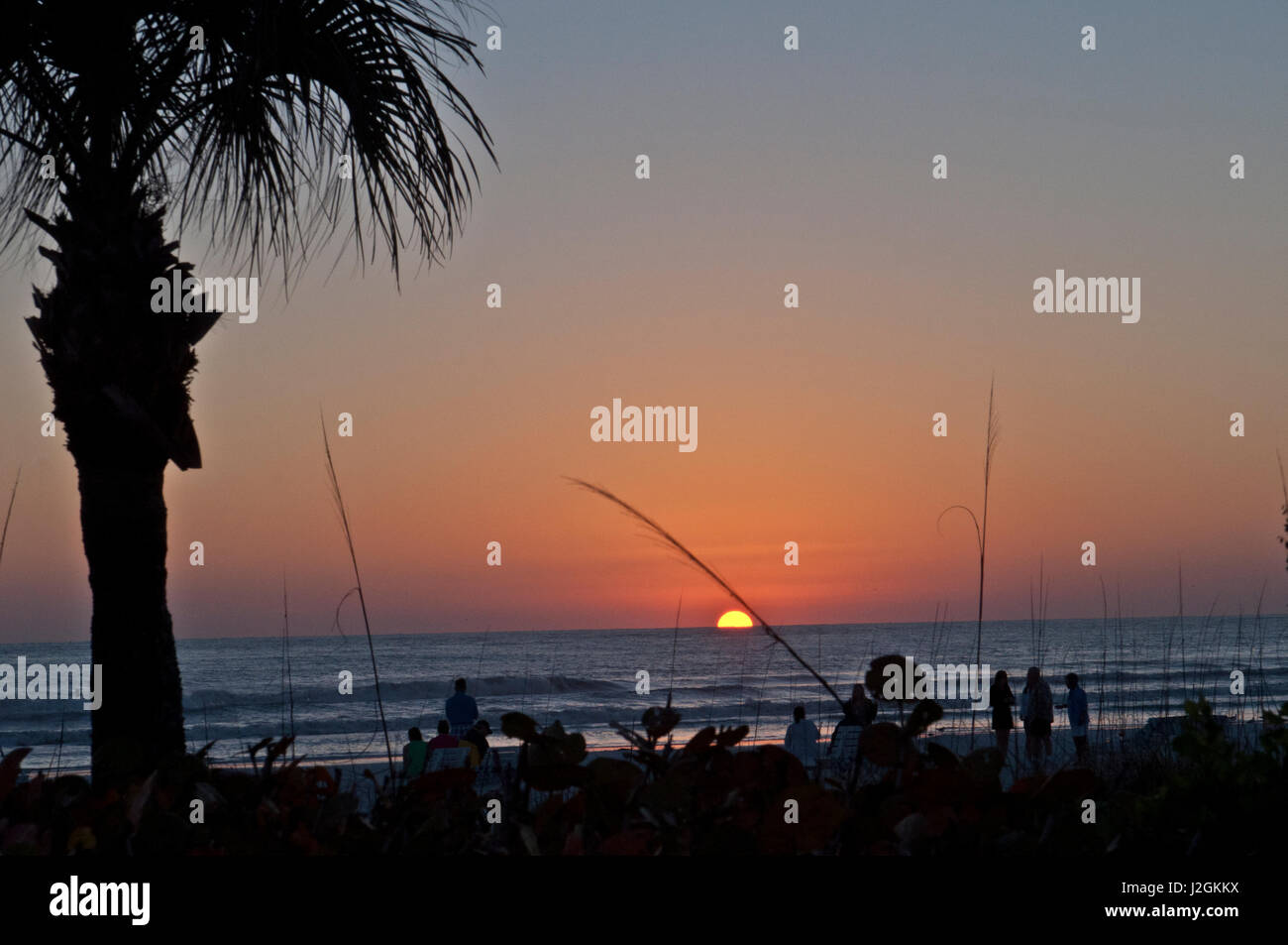 Siesta key beach sunset silhouette hi-res stock photography and images ...