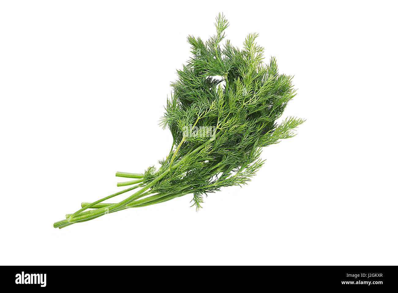 Sprig of fresh dill on white background, isolated Stock Photo - Alamy