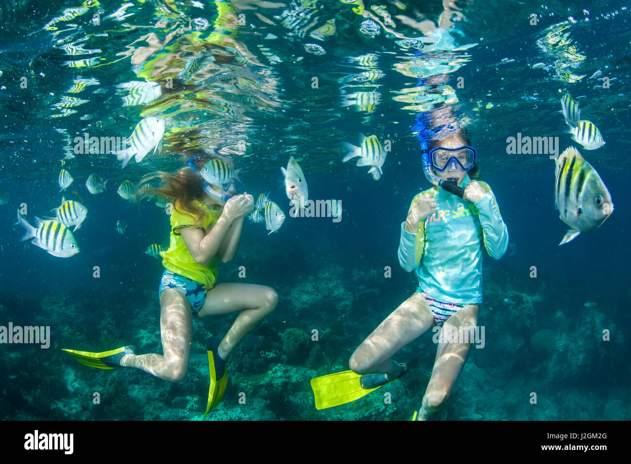 Young girls snorkeling with tropical fish on Looe Key Reef off of ...