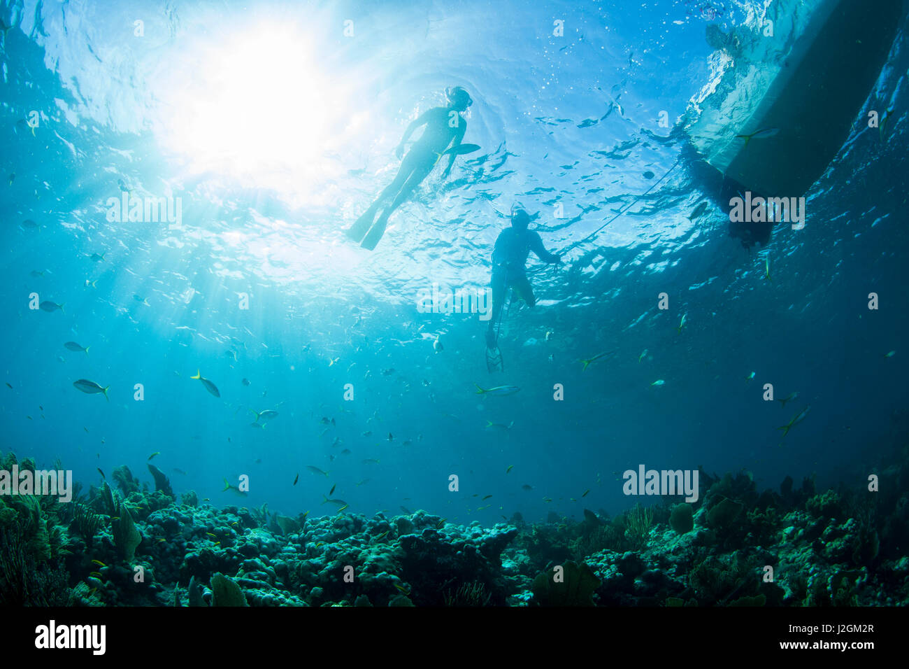 Underwater Looking Up Stock Foto „underwater, Looking Up“ | Adobe