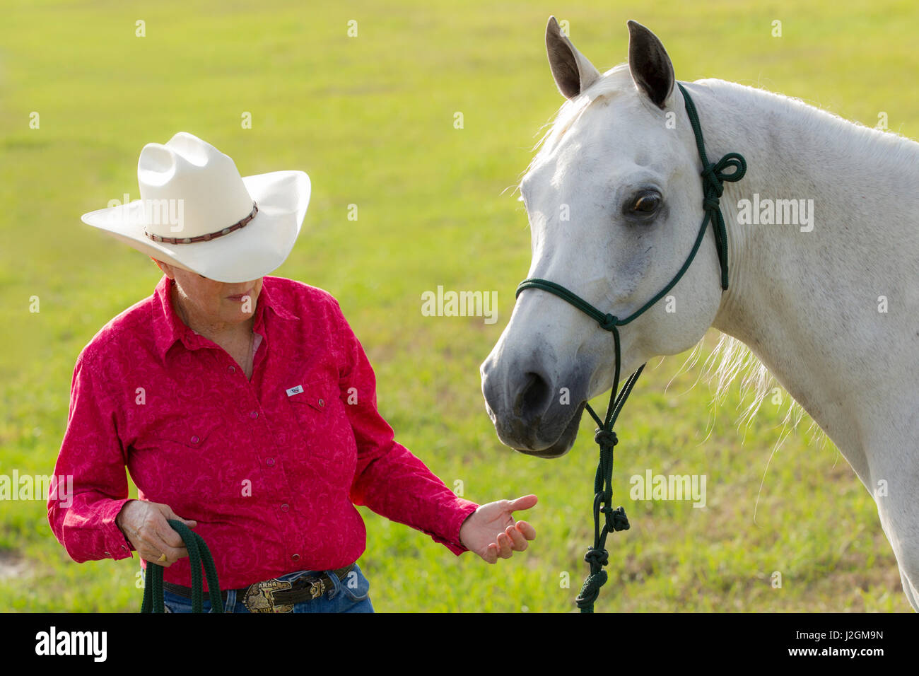 C N IBN Laurence, aka Jojo, Owner, Mary Lou Raulerson, Bloodlines ...