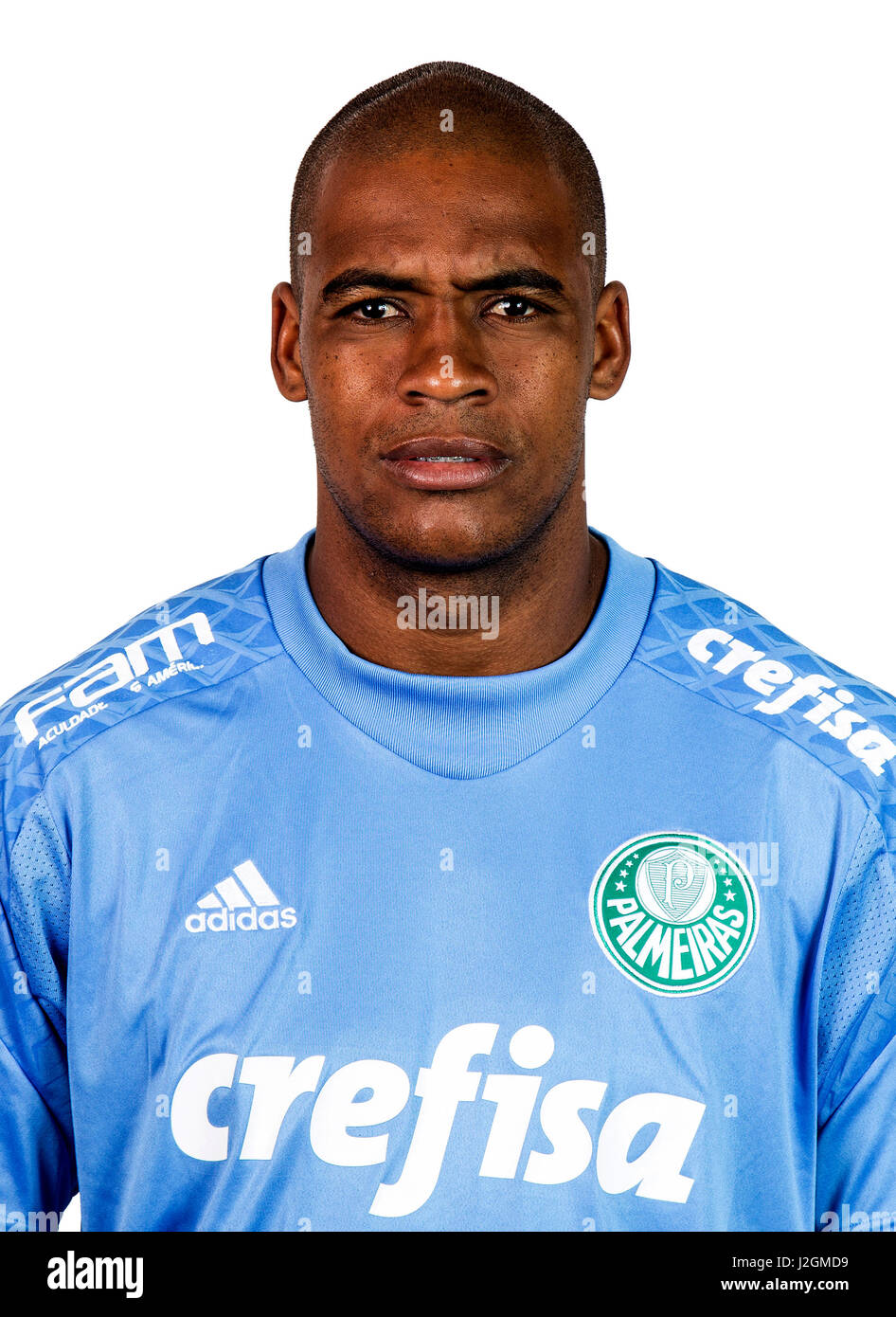 Brazilian Football League Serie A / ( Sociedade Esportiva Palmeiras ...