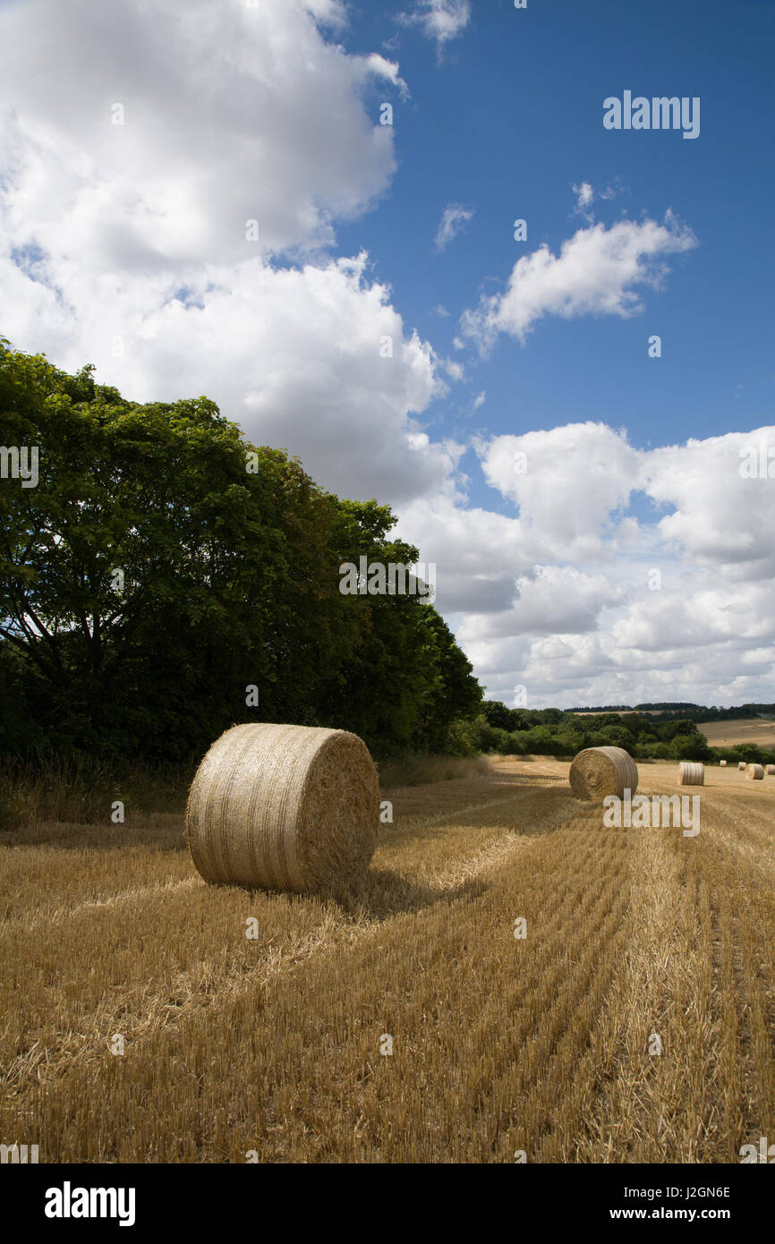 Dummer hampshire england hi-res stock photography and images - Alamy