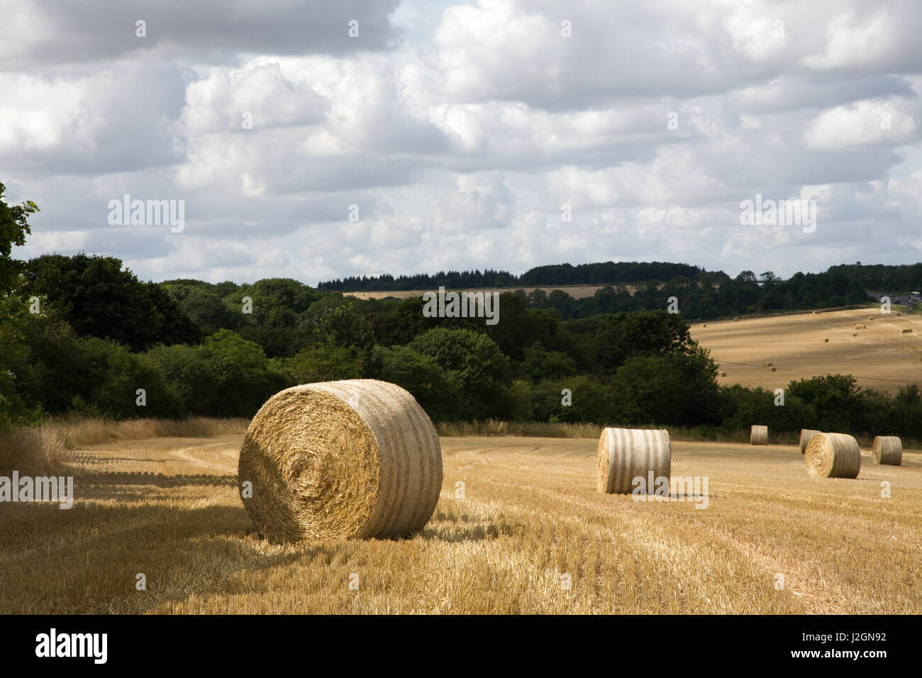 Hay bales at harvest time in fields near Dummer, Basingstoke, Hampshire ...
