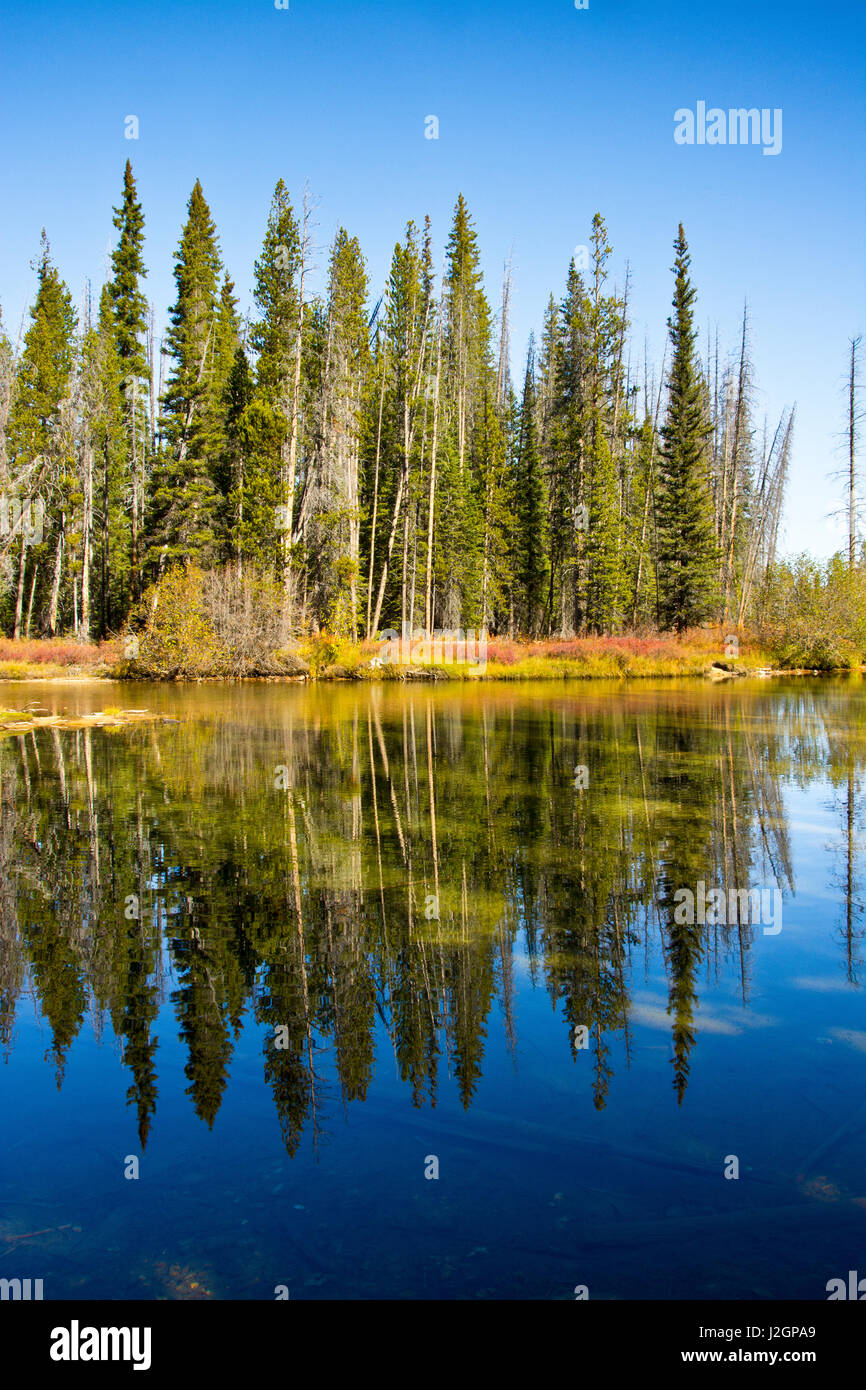 Reflections, Alturus Lake Inlet, autumn, Sawtooth National Forest ...