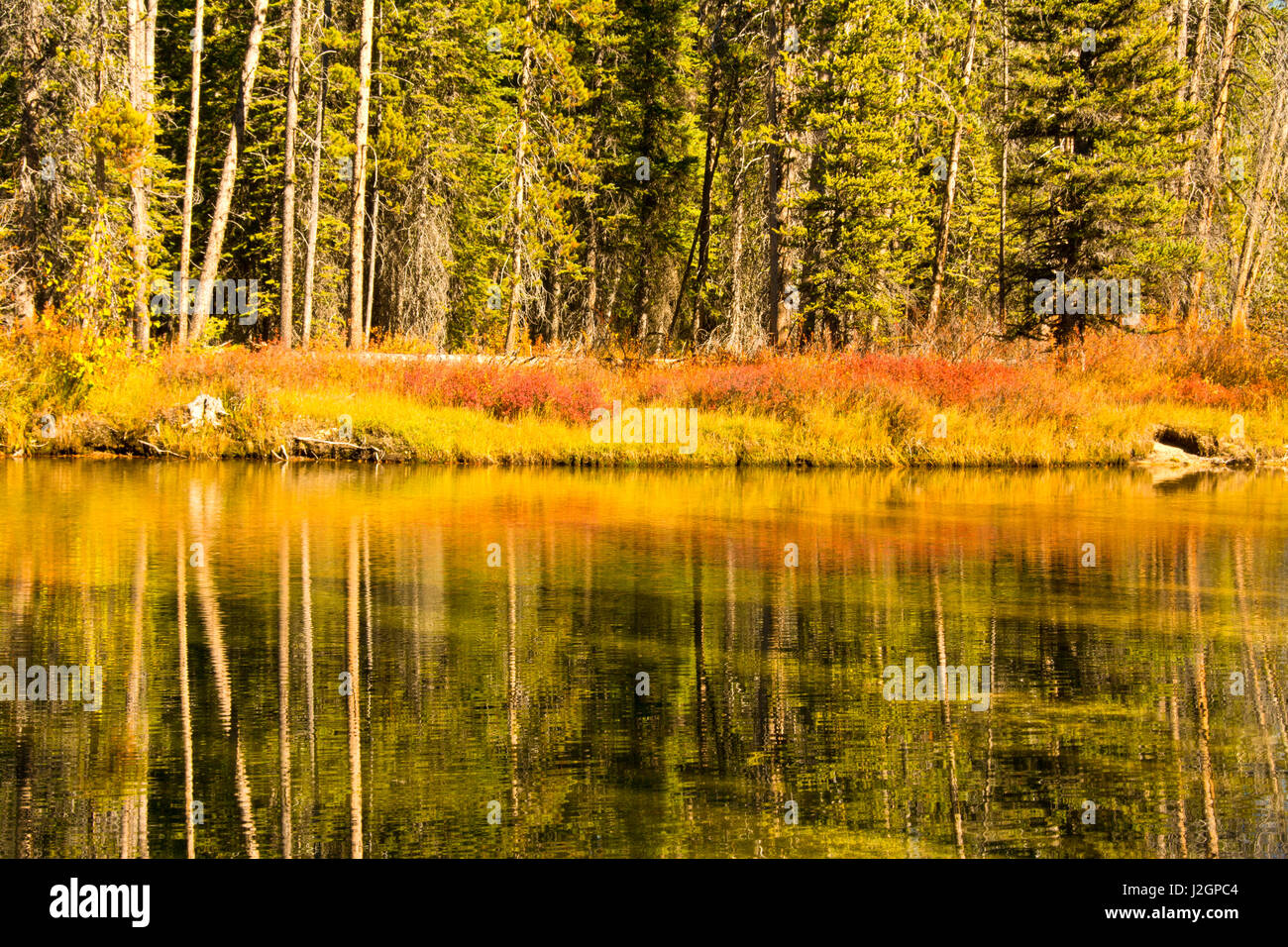 Alturas lake inlet hi-res stock photography and images - Alamy