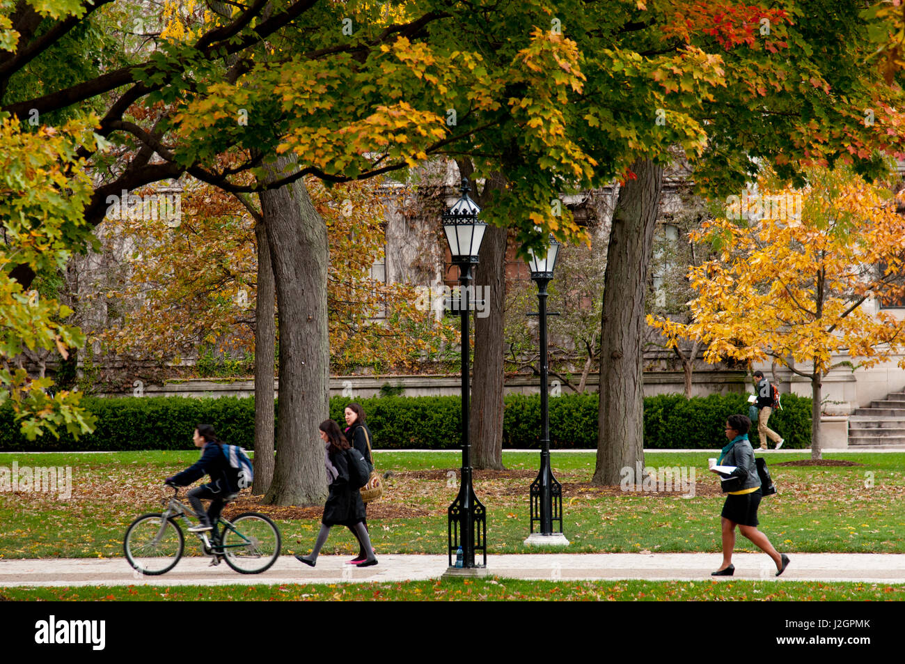 University of Chicago, autumn with students Stock Photo - Alamy