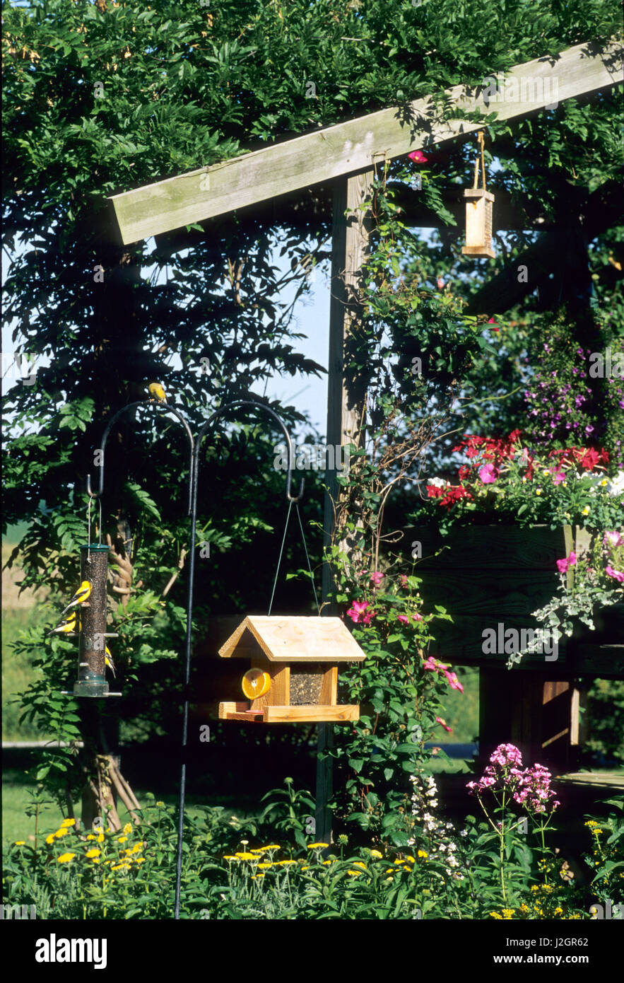 Backyard bird feeding area hi-res stock photography and images - Alamy