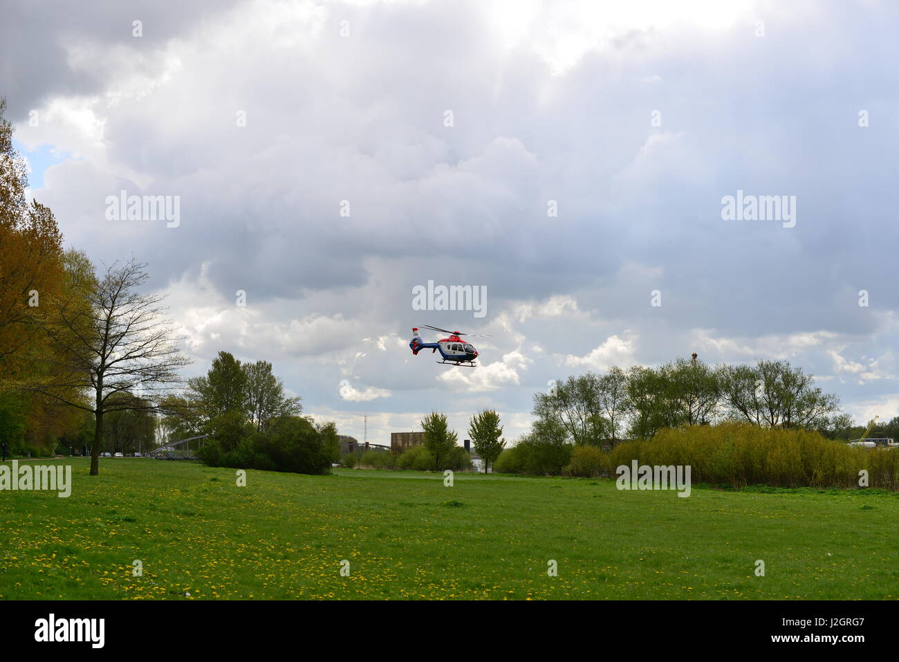 Tree of life police hi-res stock photography and images - Alamy