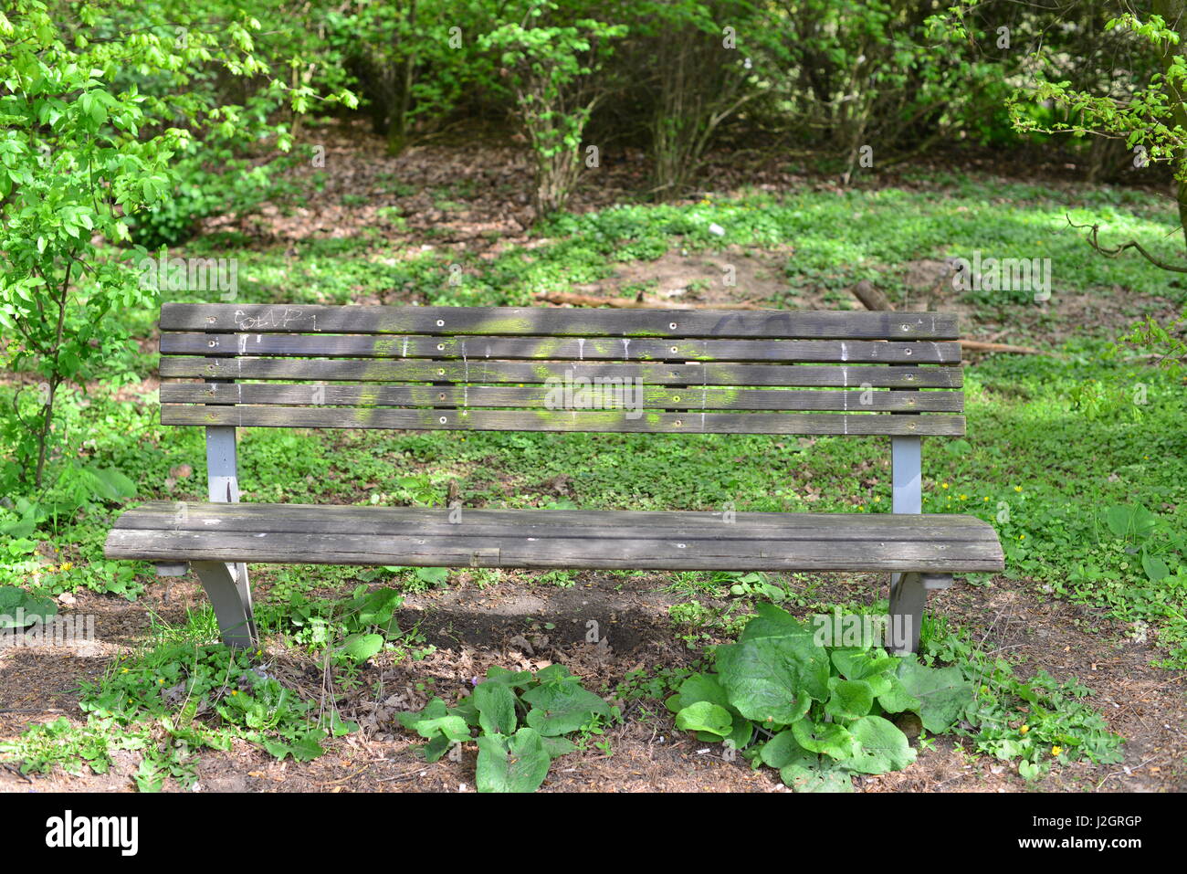 Sit bench park hi-res stock photography and images - Alamy