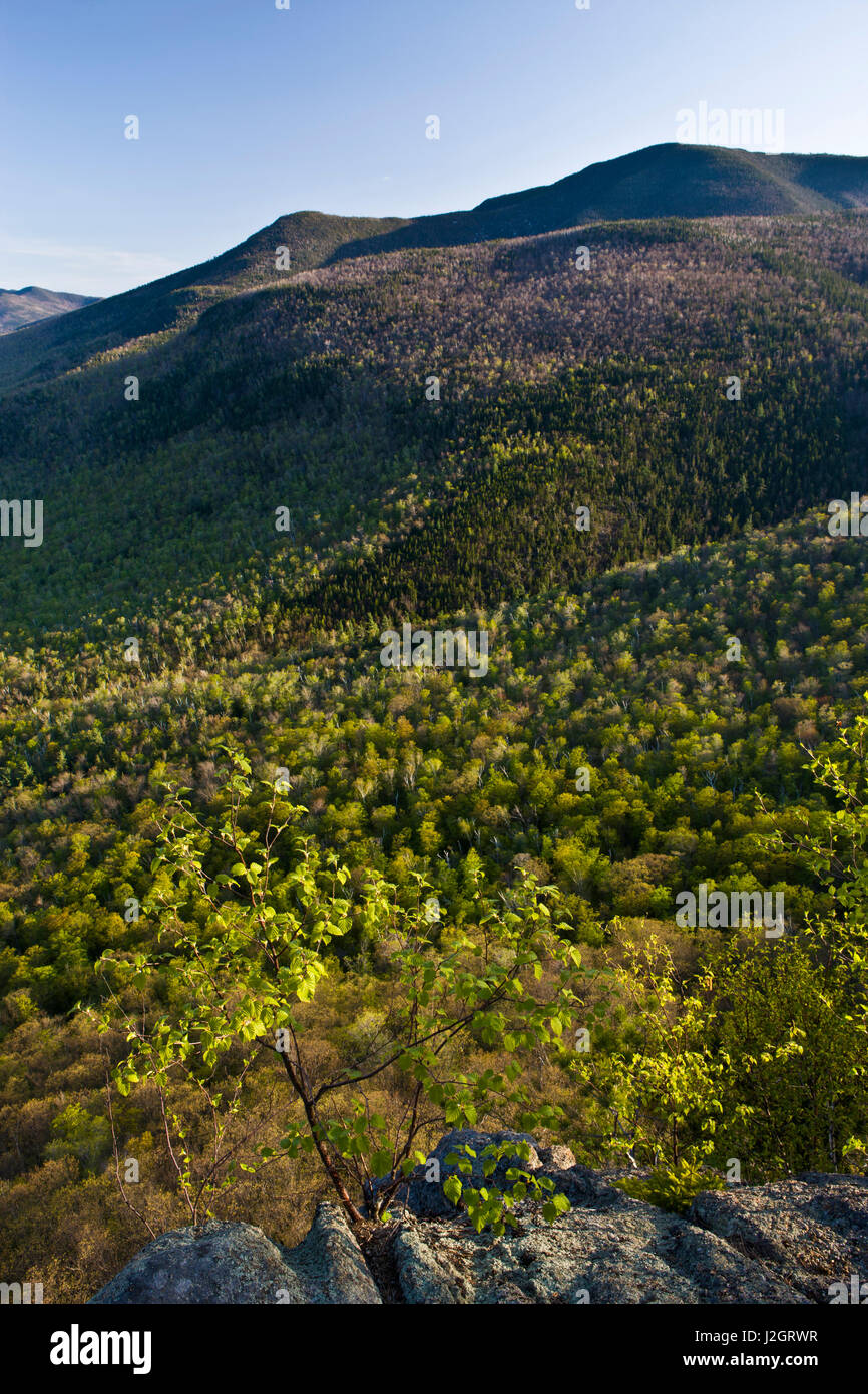 Spring in New Hampshire's White Mountains. From Frankenstein Cliffs ...