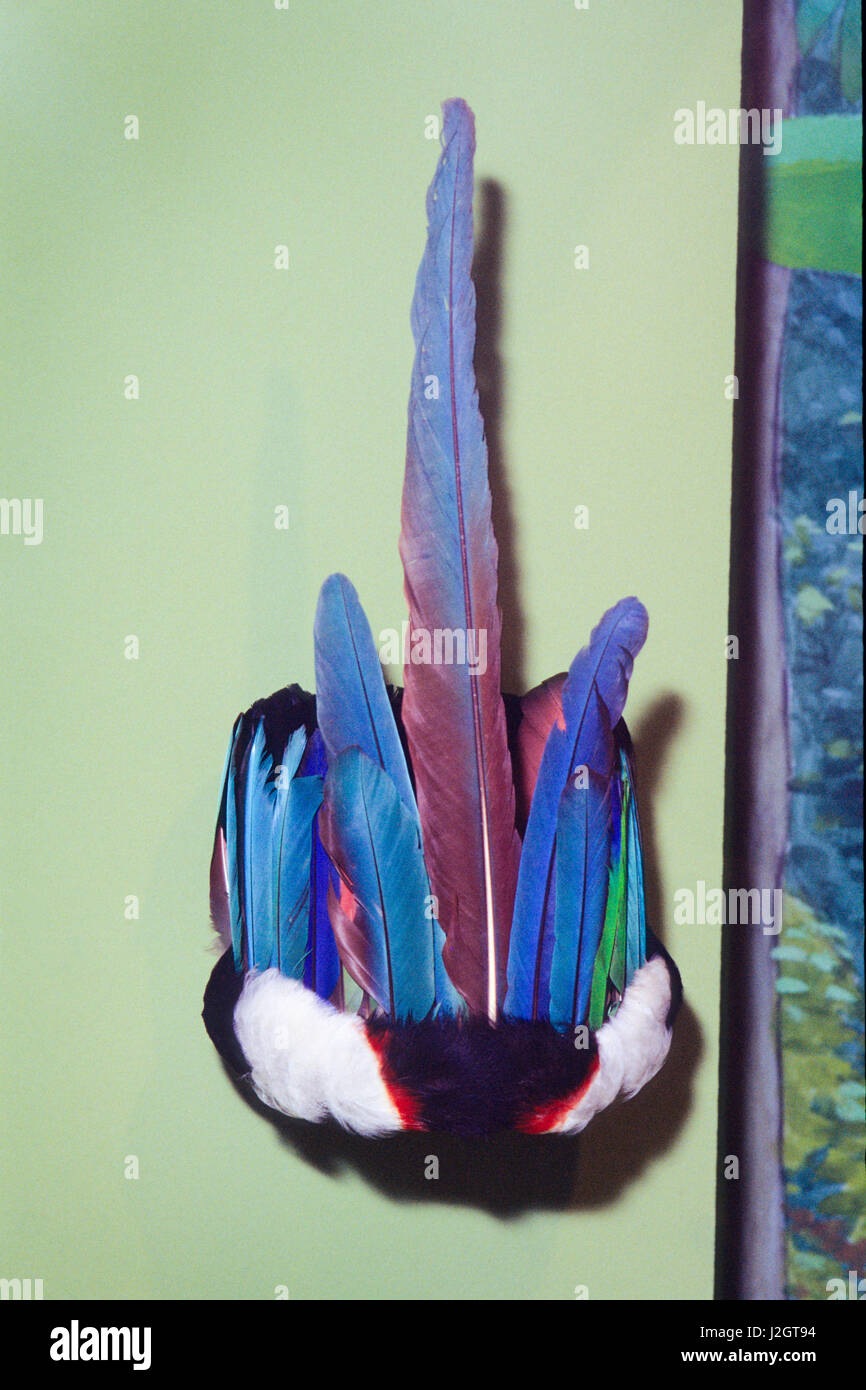 Colorful Aztec feather headdress worn by a child Stock Photo - Alamy