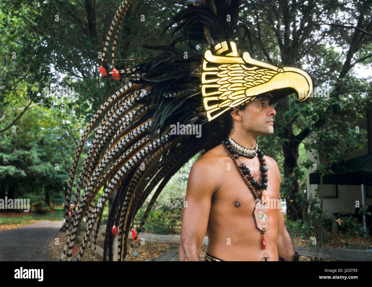 Man wears an ornate Aztec headdress with a crown made of a golden bird ...