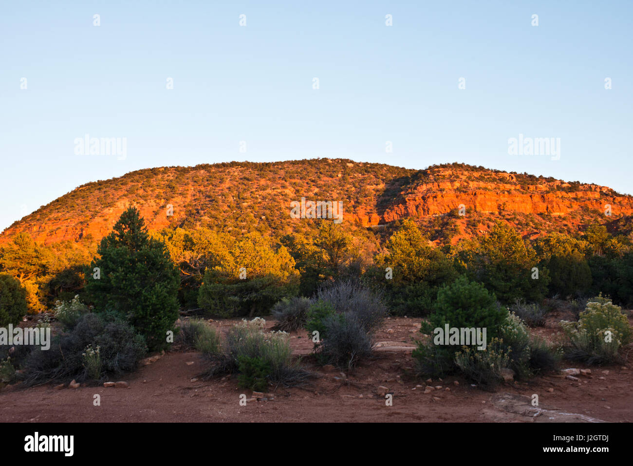 USA, Utah, Scenic Views from Campsite on Texas Flat Road (Large format ...