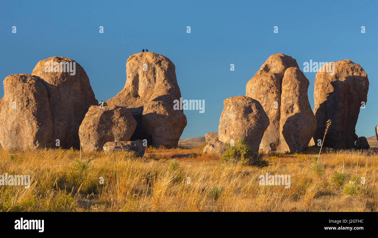 Two ravens hi-res stock photography and images - Alamy