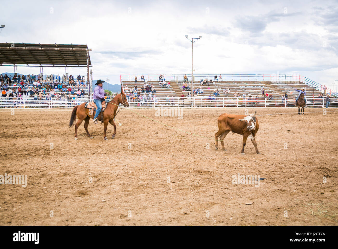 Taos, New Mexico, USA. Small town western rodeo. Cowboys rounding up a ...