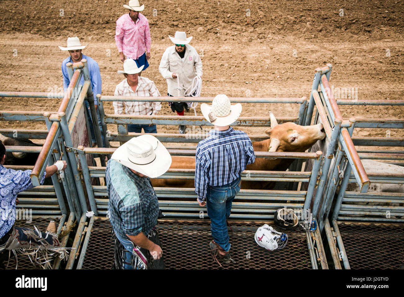Taos, New Mexico, USA. Small town western rodeo. Bull riding ...