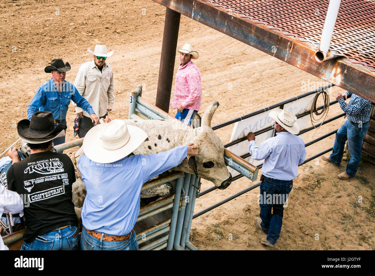 Taos, New Mexico, USA. Small town western rodeo. Bull riding ...