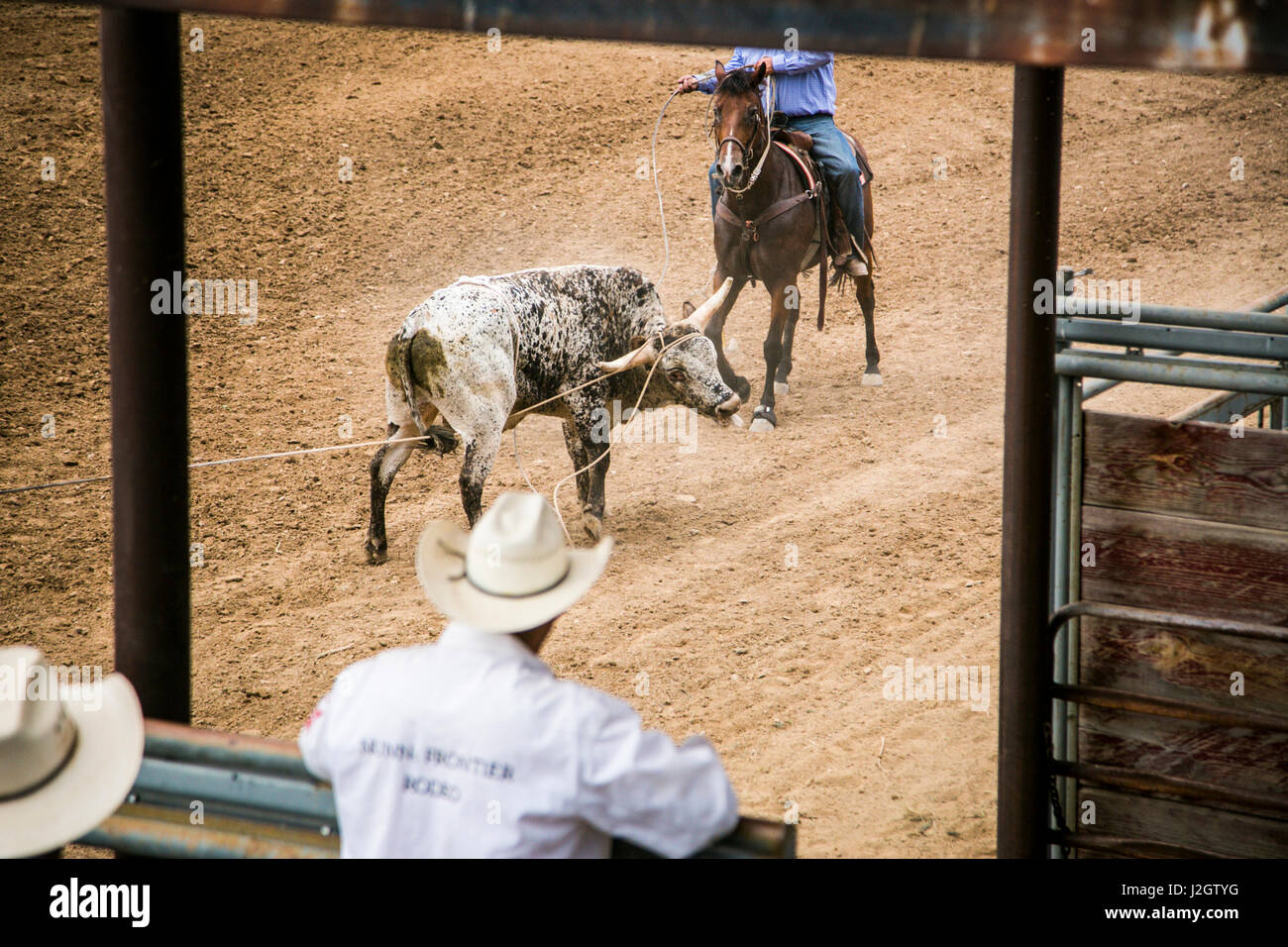 Taos, New Mexico, USA. Small town western rodeo. Bull riding ...