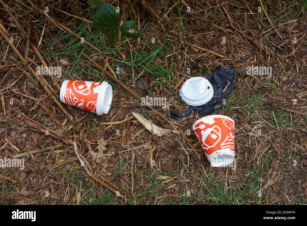 Litter on footpath at Cannock Chase. Staffordshire. UK Stock Photo - Alamy