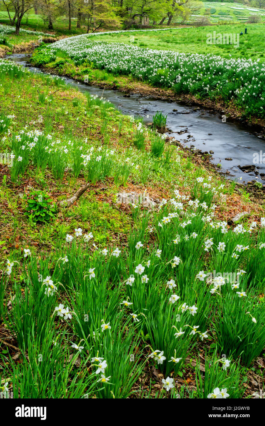 USA, Pennsylvania. Spring scenic. Credit as: Jay O'Brien / Jaynes ...