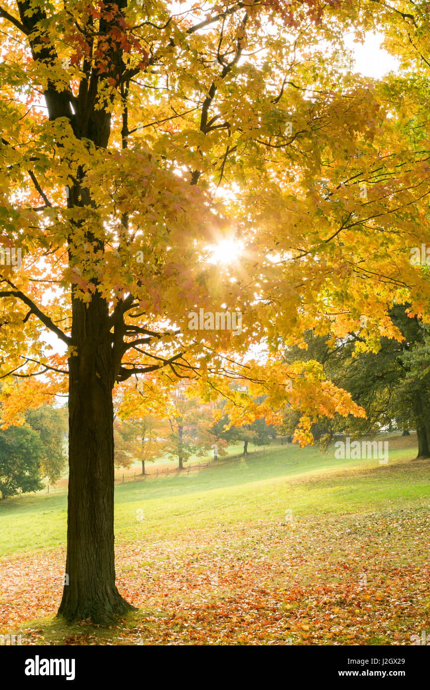 Usa pennsylvania farm sunrise hi-res stock photography and images - Alamy