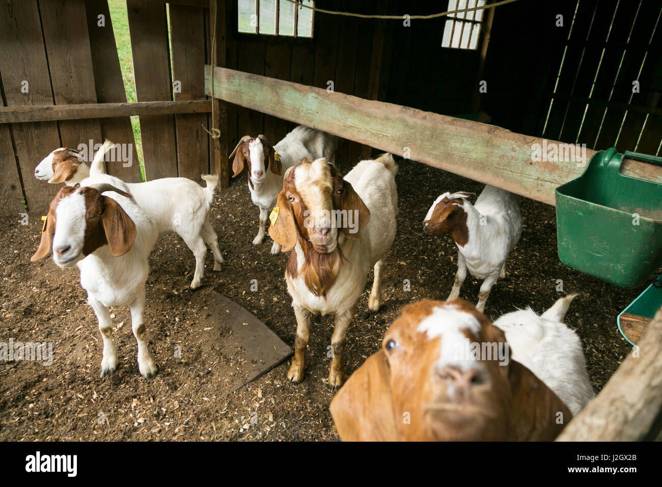 Pittsburg pa hi-res stock photography and images - Alamy