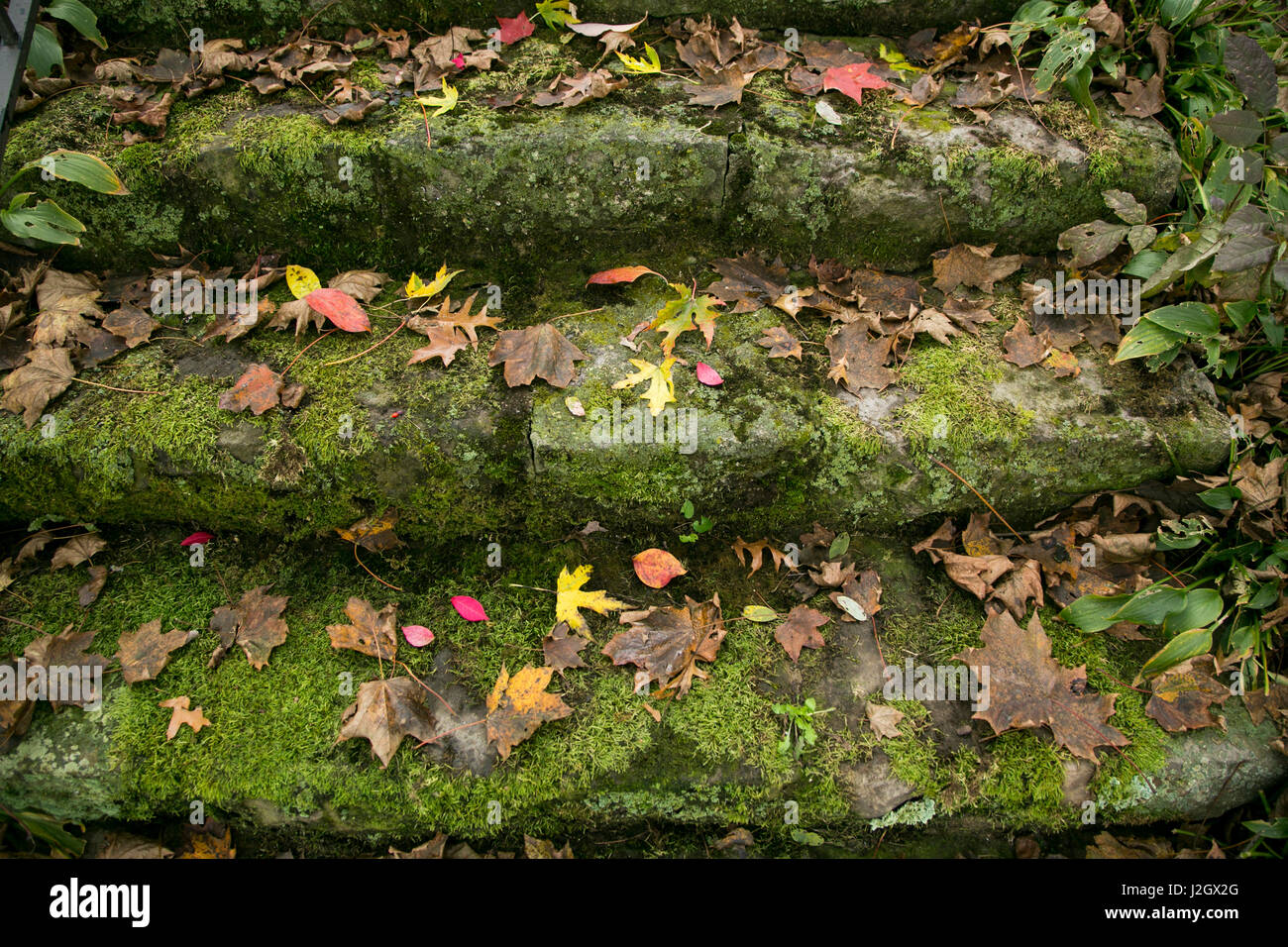 Usa old farm on hi-res stock photography and images - Alamy