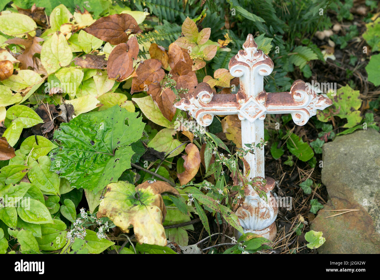 Hidden farm hi-res stock photography and images - Alamy