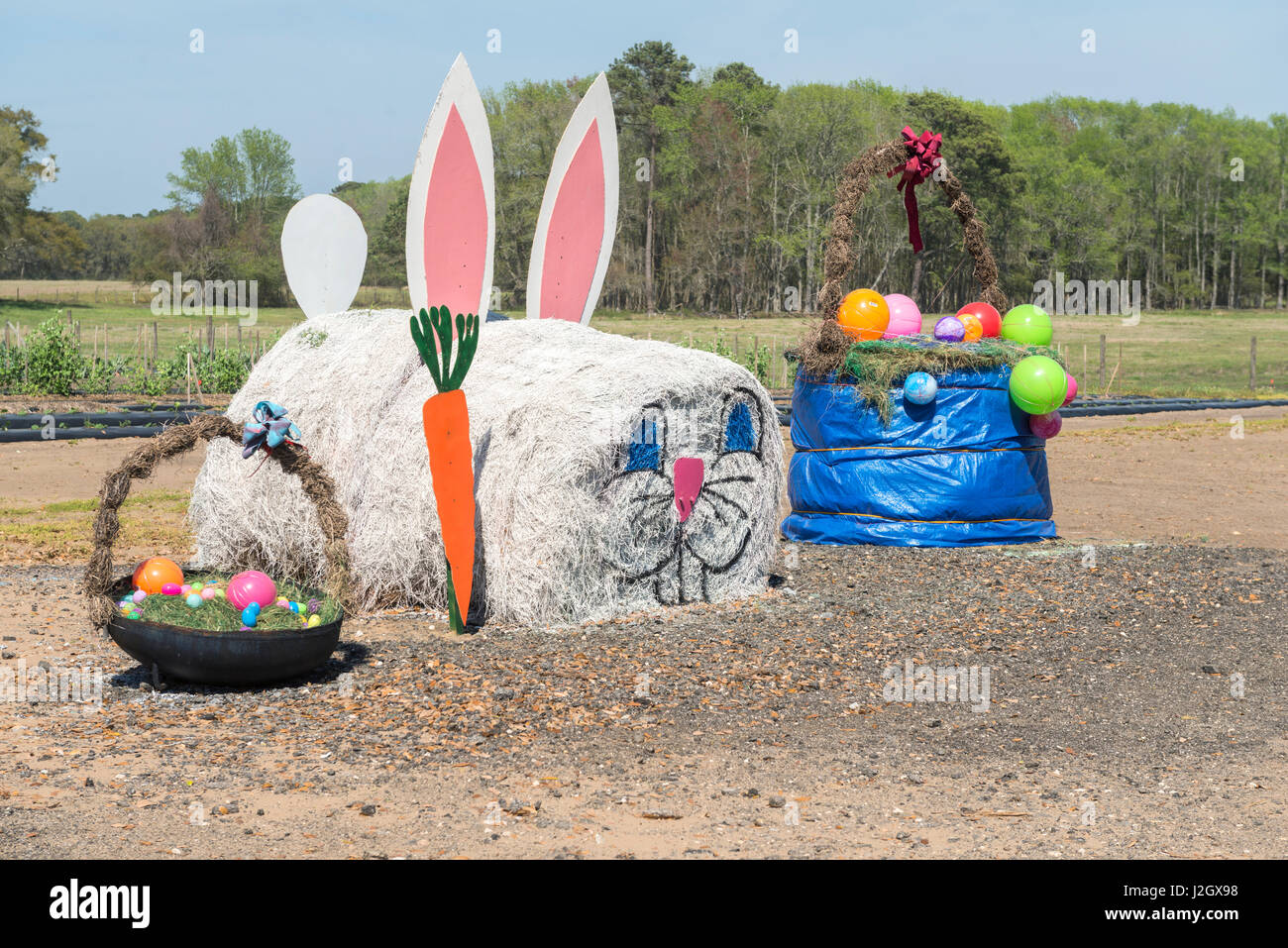 USA, South Carolina, Harbor Island, farm, Easter hay display (Large ...