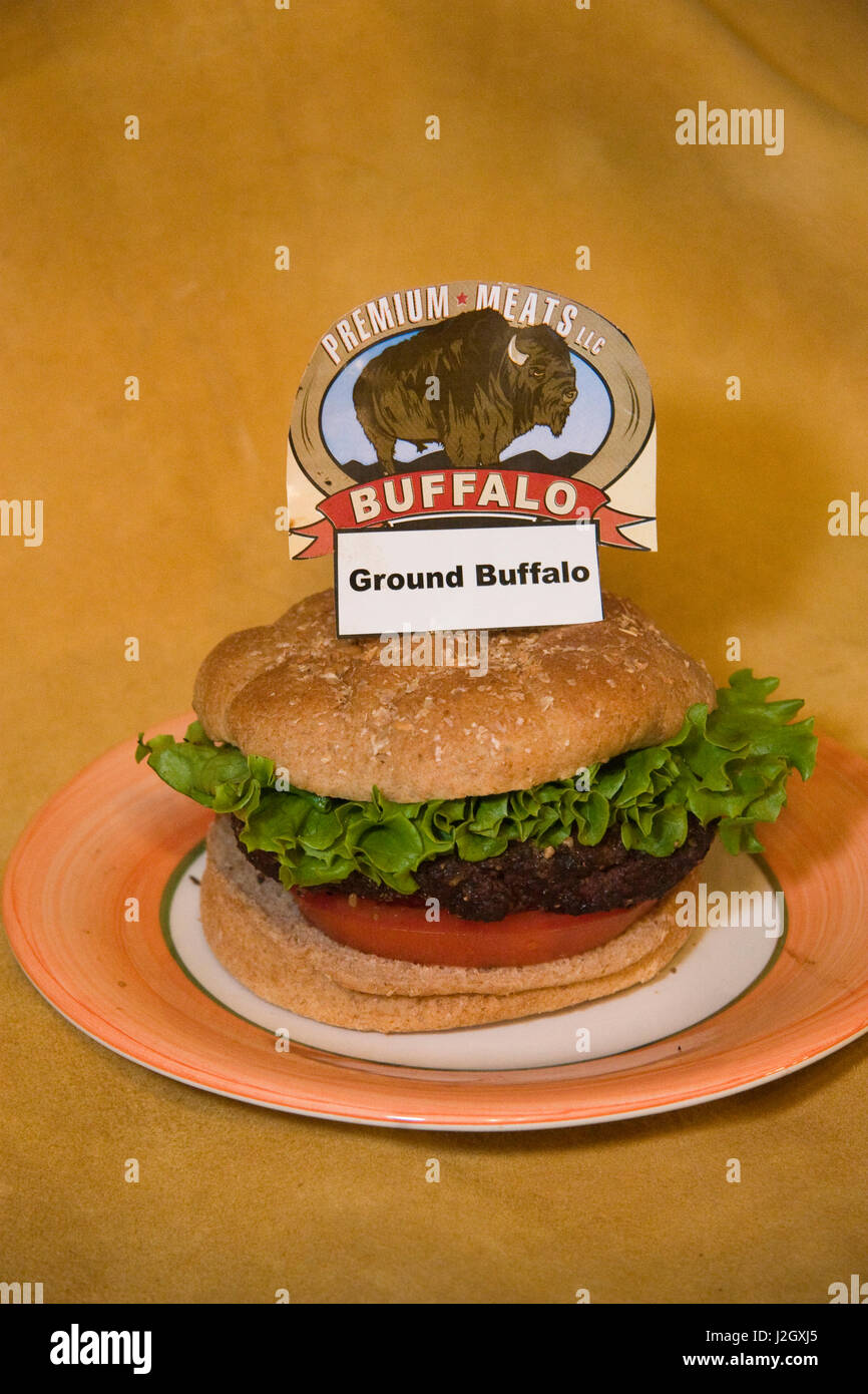 Buffalo herds are raised on tribal farms today for their meat that is ...