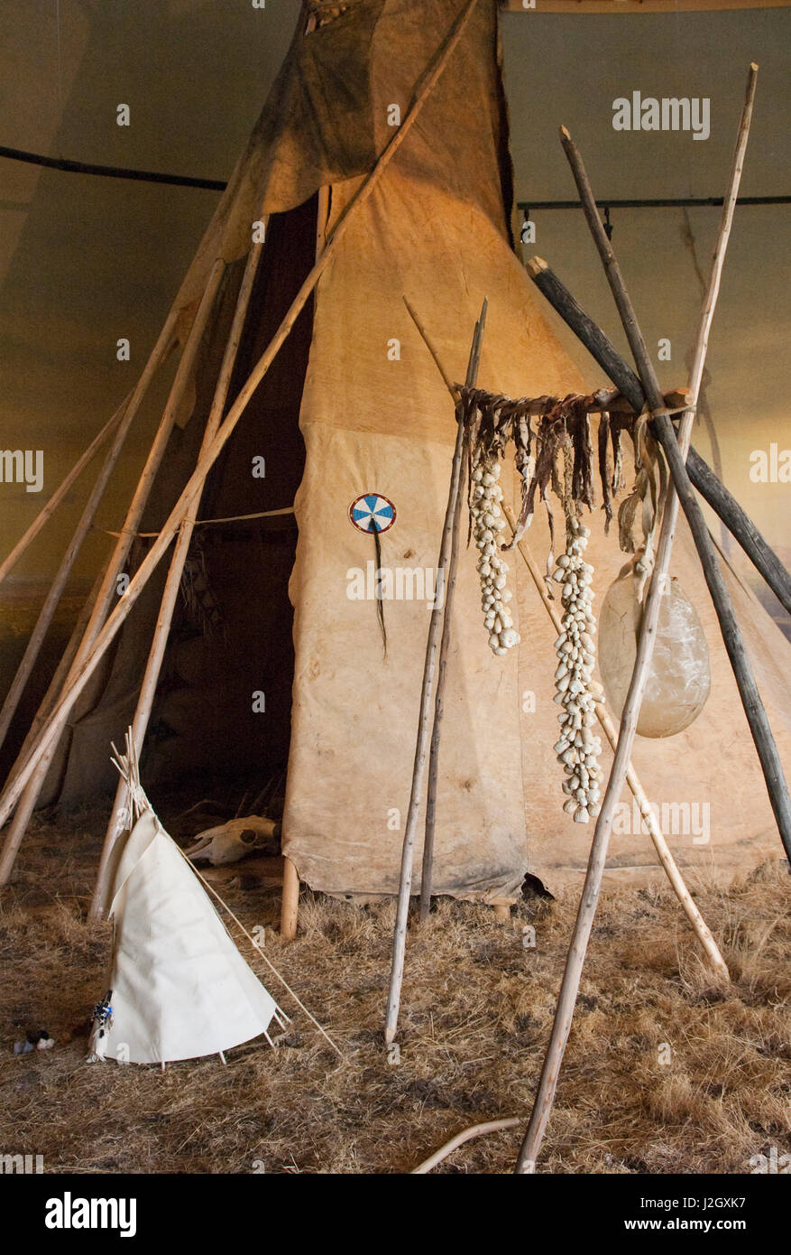 Sioux indian buffalo hi-res stock photography and images - Alamy