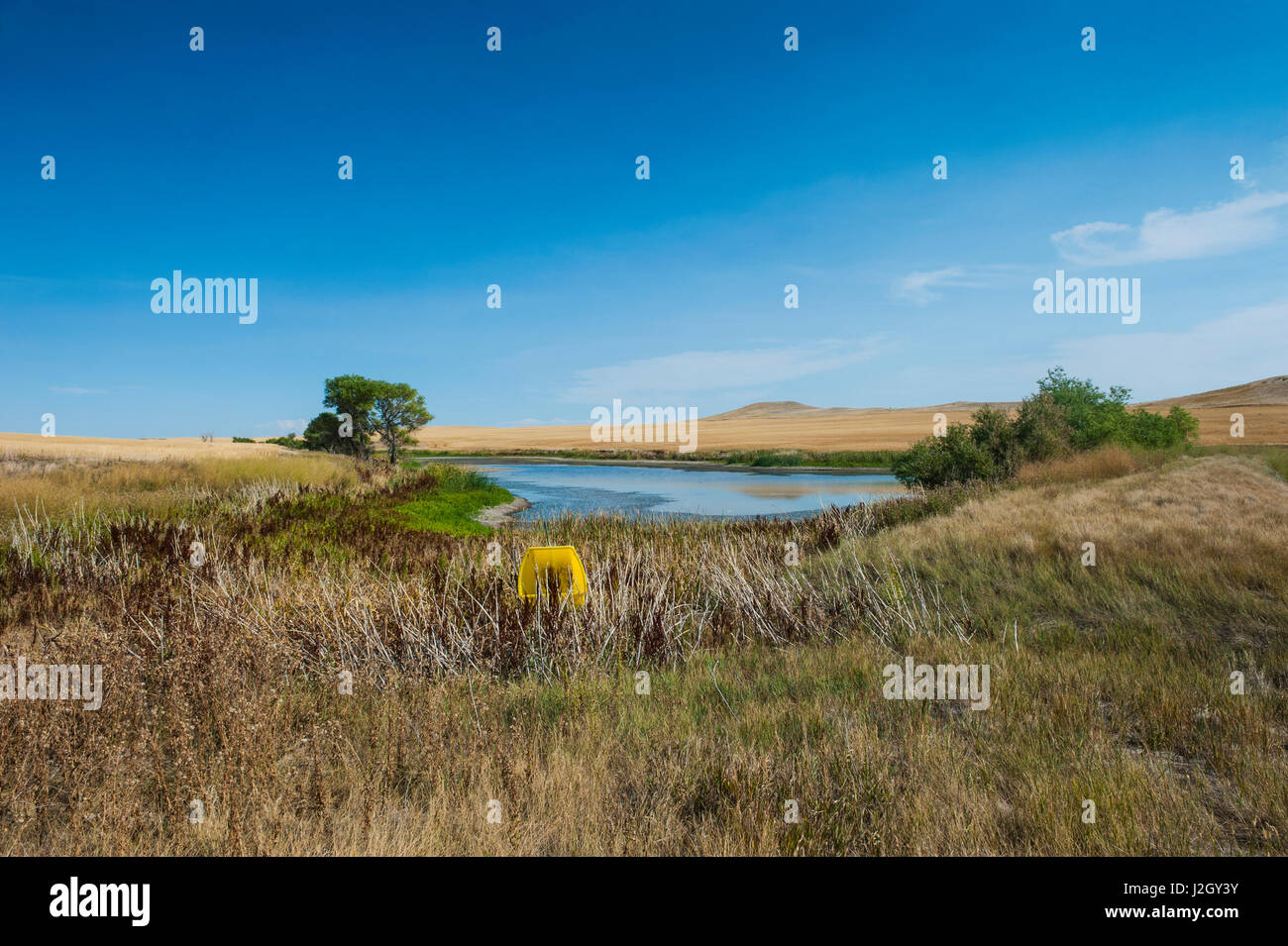 Little lake in the Savannah of the Badlands National Park, South Dakota ...