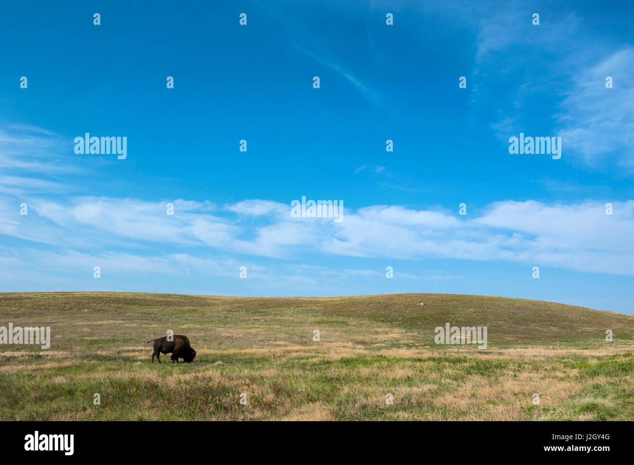 Buffalo, South Dakota, USA Stock Photo - Alamy