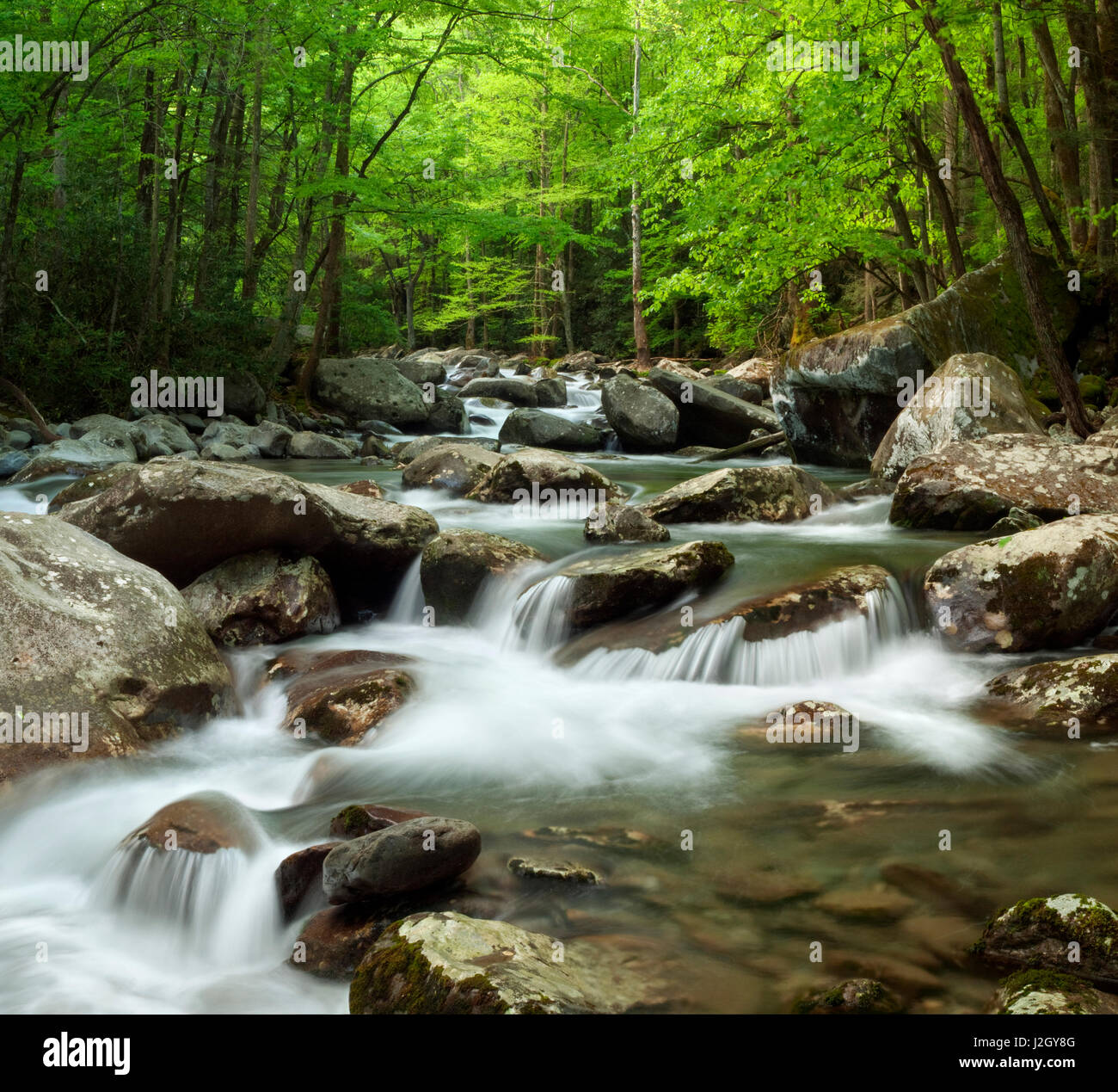 USA, Tennessee, Great Smoky Mountains National Park. Little Pigeon ...