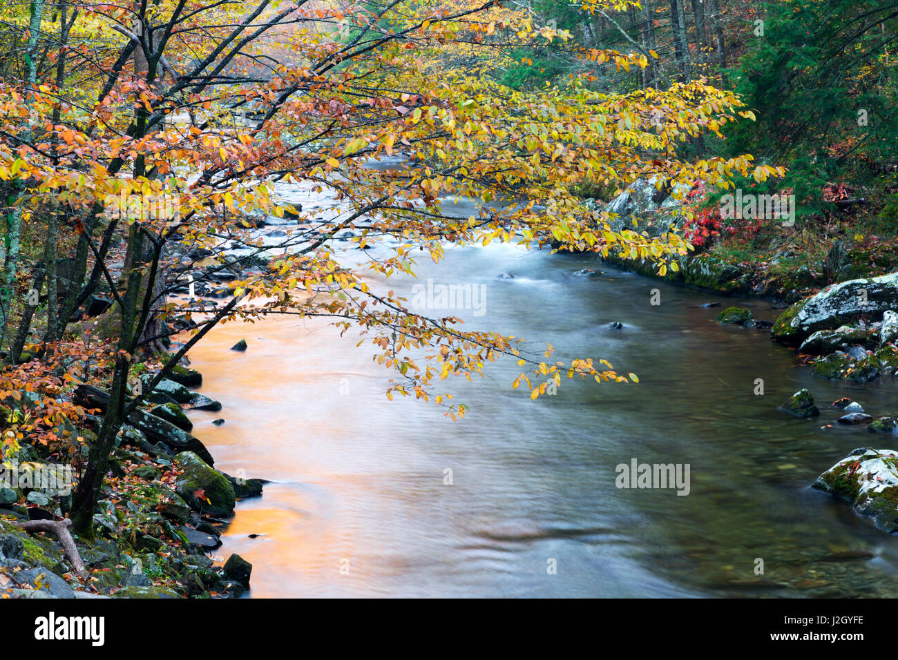 Tennessee, Great Smoky Mountains National Park, Little River Stock ...