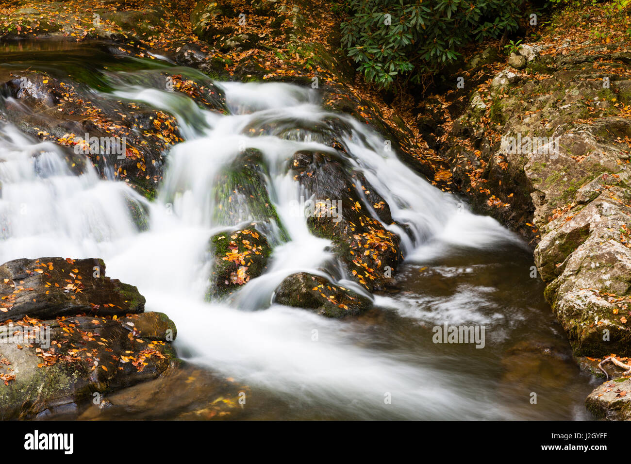Tennessee, Great Smoky Mountains National Park, Little River Stock ...